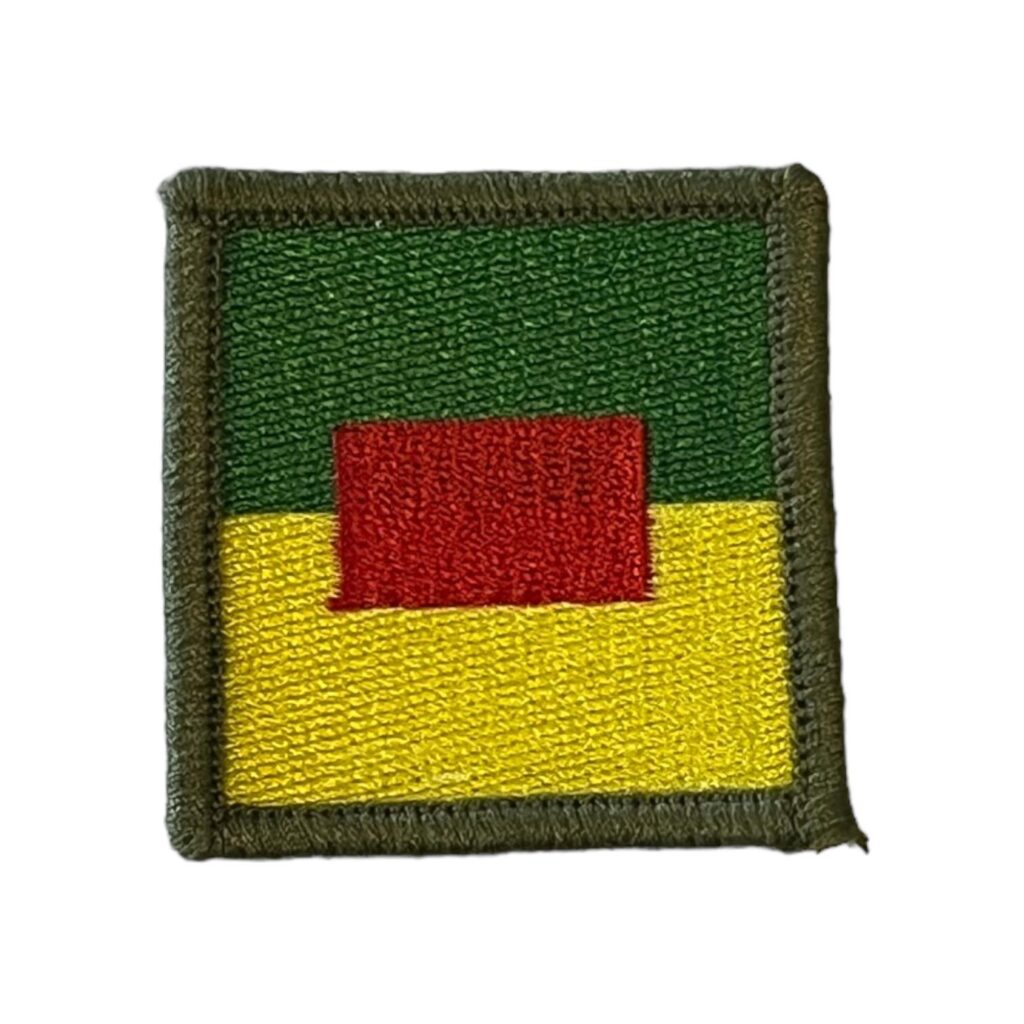 1st Recruit Training Battalion Colour Patch - CP071 | Allied Militaria